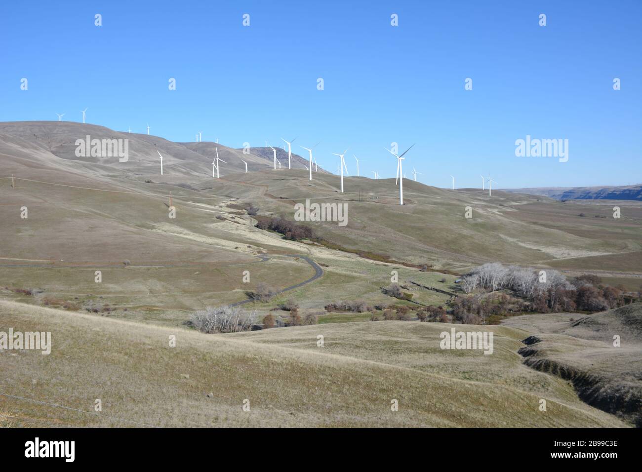 Wind turbines on the Columbia River Gorge near Goldendale in Klickitat ...
