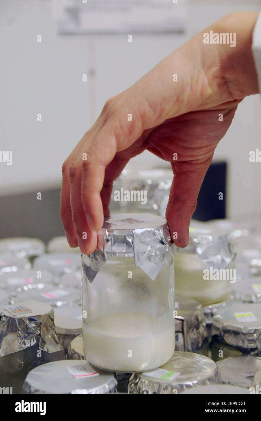 Human milk bank hi-res stock photography and images - Alamy