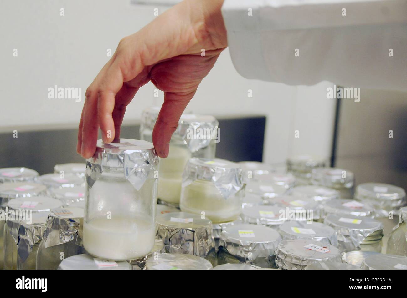 Human milk bank hi-res stock photography and images - Alamy