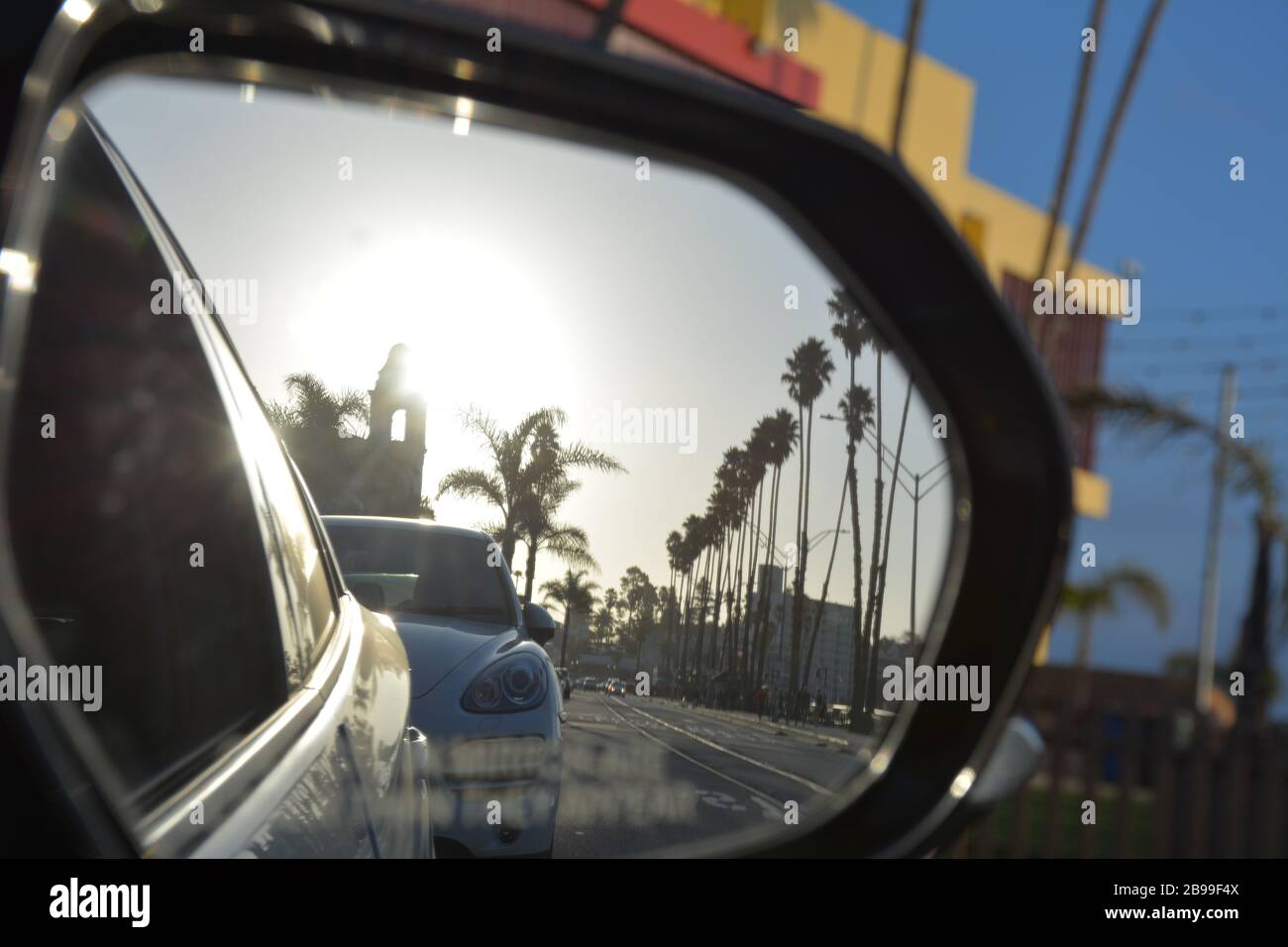 Wing mirror reflection of palm trees in Santa Cruz, California, USA ...