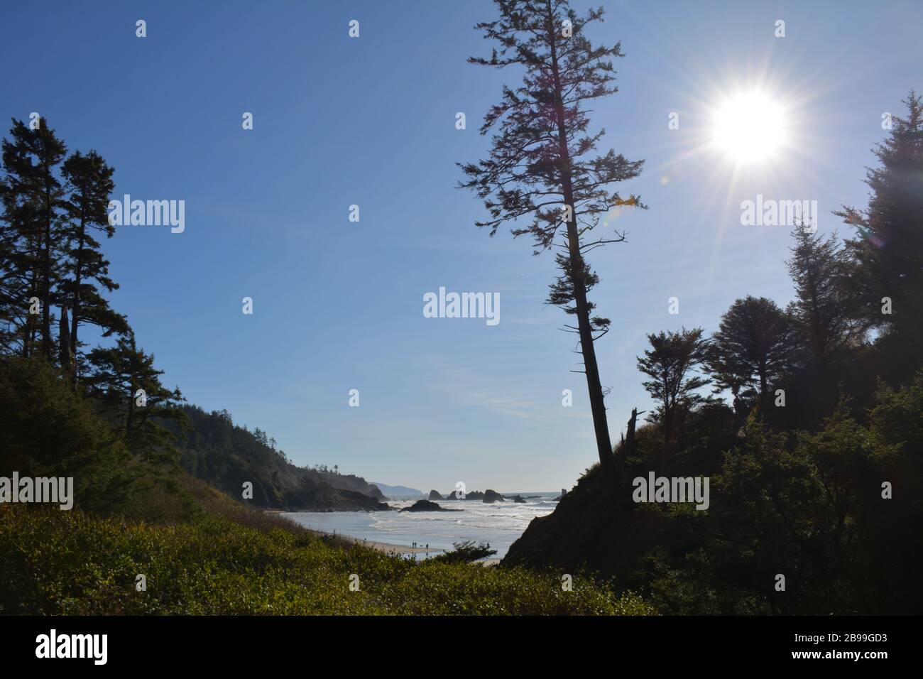 The Clatsop Loop trail / Lighthouse trail in Ecola State Park, Oregon ...