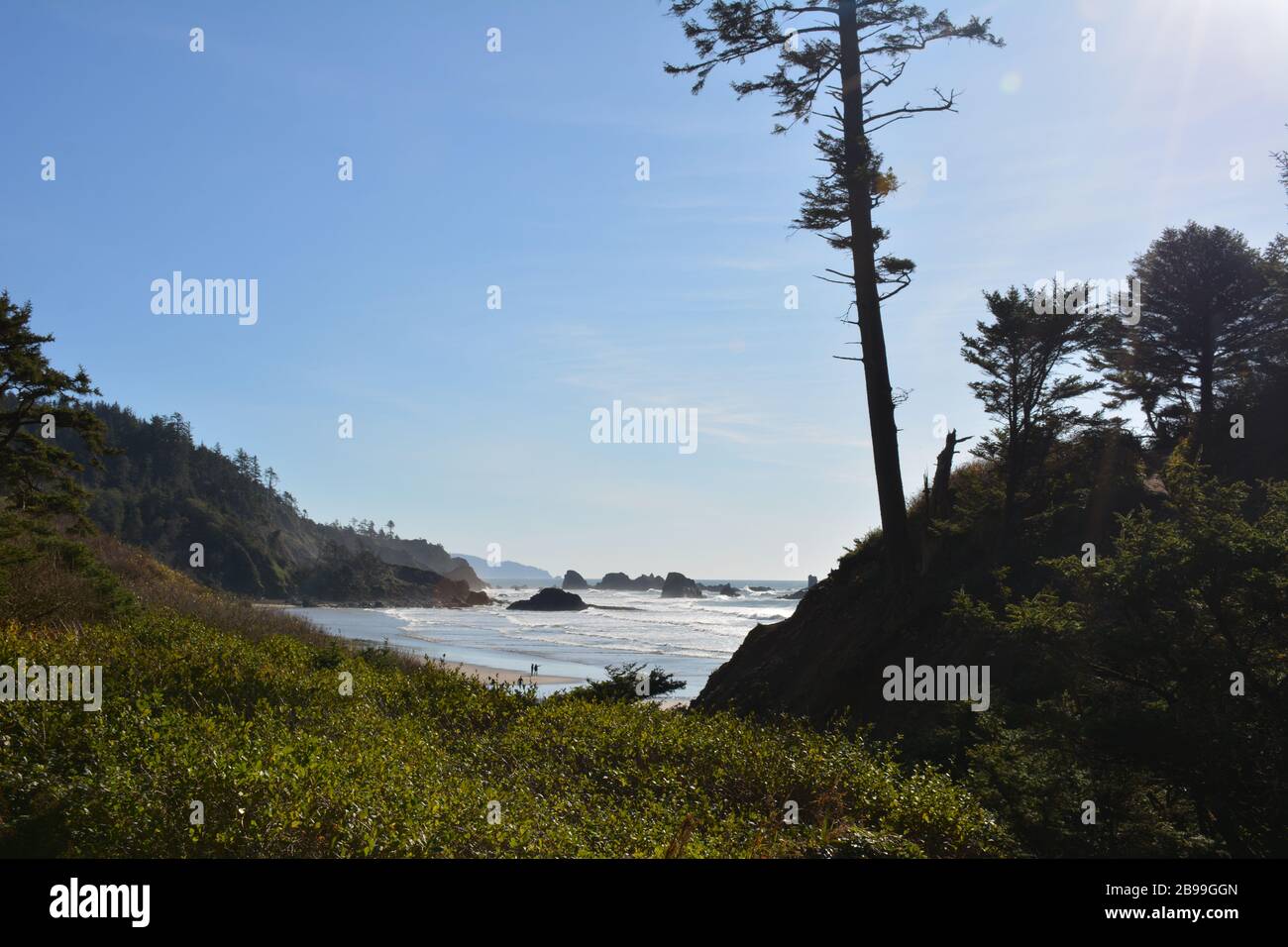 The Clatsop Loop trail / Lighthouse trail in Ecola State Park, Oregon ...