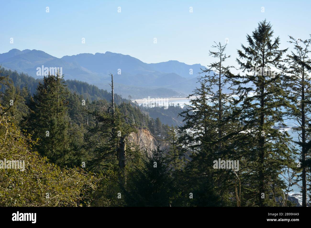 Cannon Beach seen from Tillamook Head, Cannon Beach Trail / Clatsop ...