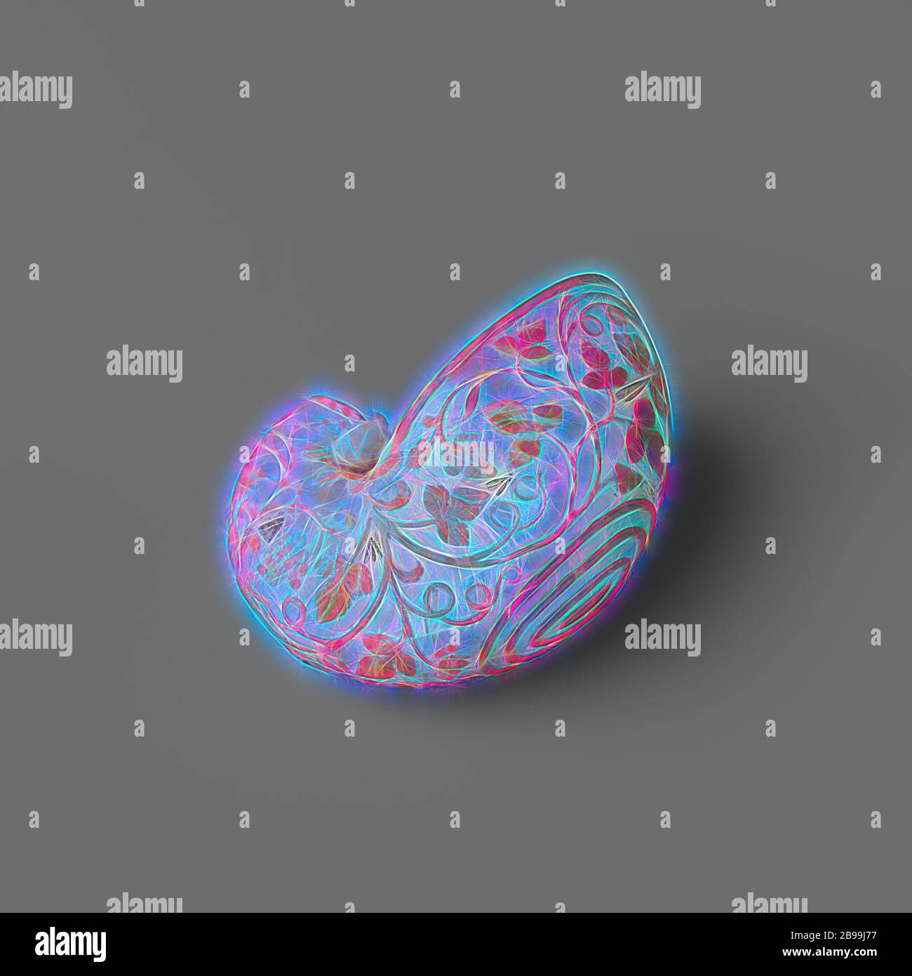 Two half nautilus shell hi-res stock photography and images - Alamy