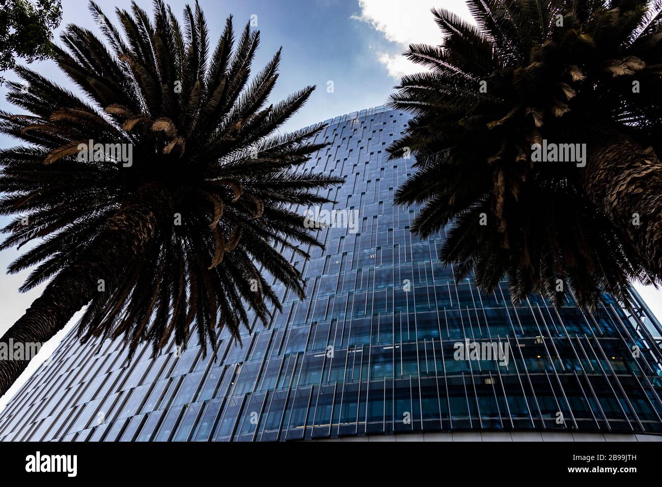 Modern highrise office buildings in the heart of Mexico City, Mexico ...