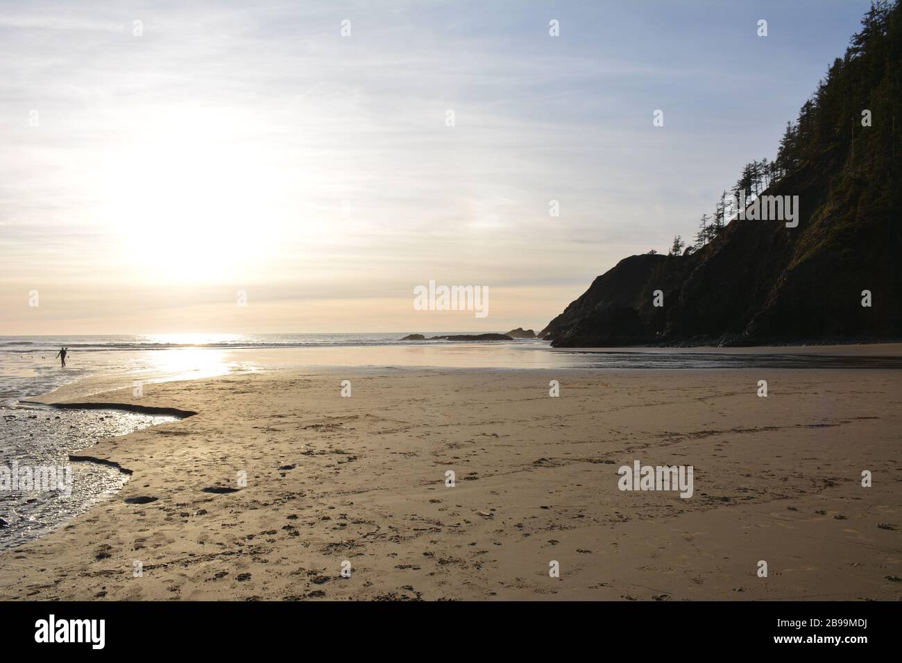 Tidepooling hi-res stock photography and images - Alamy