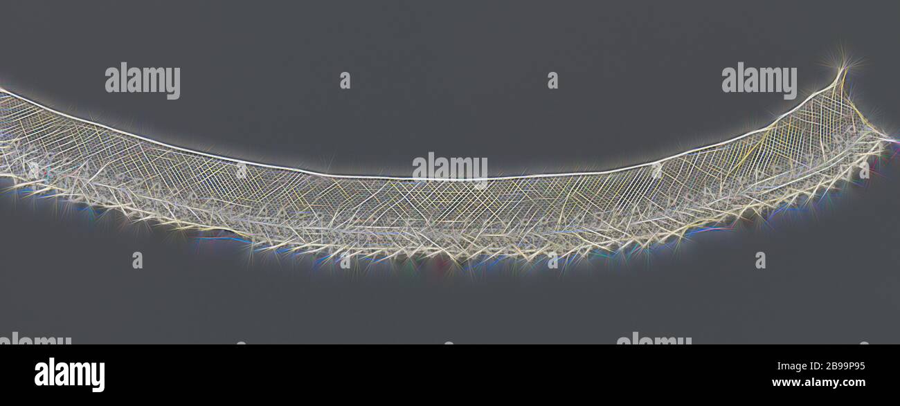 Longitudinal strip hi-res stock photography and images - Alamy
