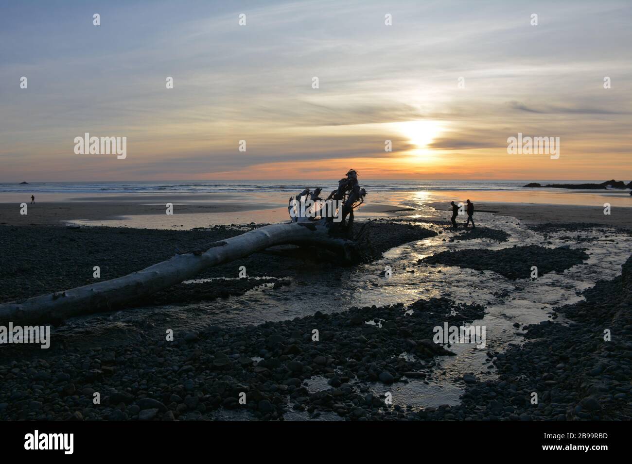 Tidepooling hi-res stock photography and images - Alamy