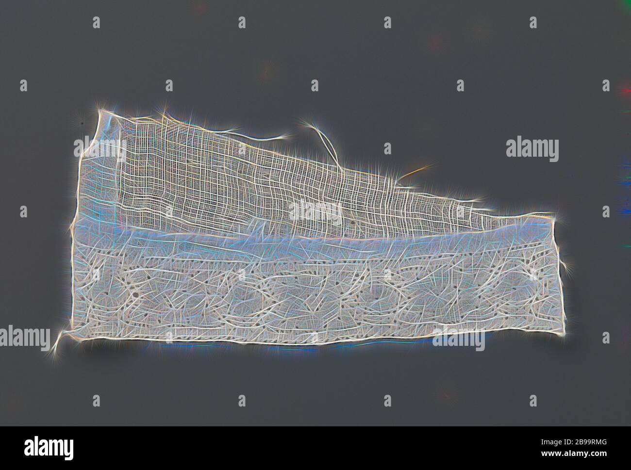 Strip of bobbin lace with stylized flower between two vertical lines ...