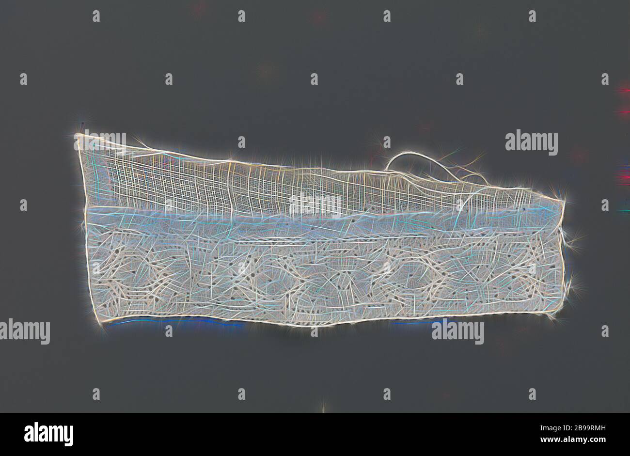 Strip of bobbin lace with stylized flower between two vertical lines ...