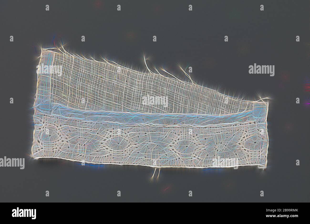 Strip of bobbin lace with stylized flower between two vertical lines ...
