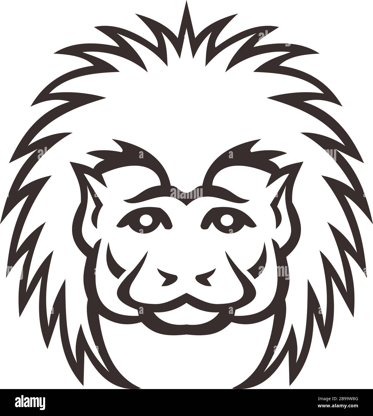 Cotton head tamarin Cut Out Stock Images & Pictures - Alamy