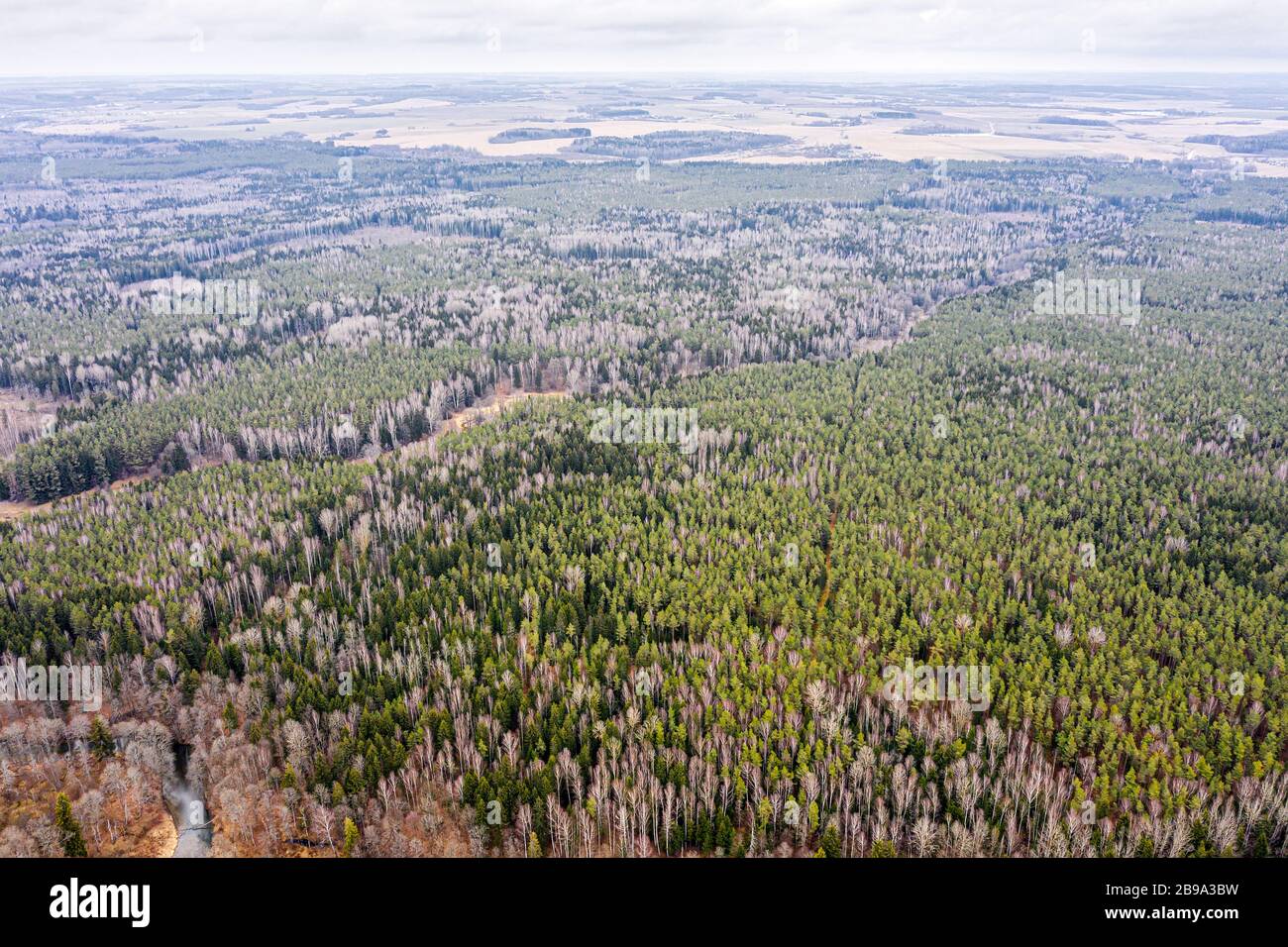 Aerial view of scenic countryside landscape. Nalibokskaya Forest ...