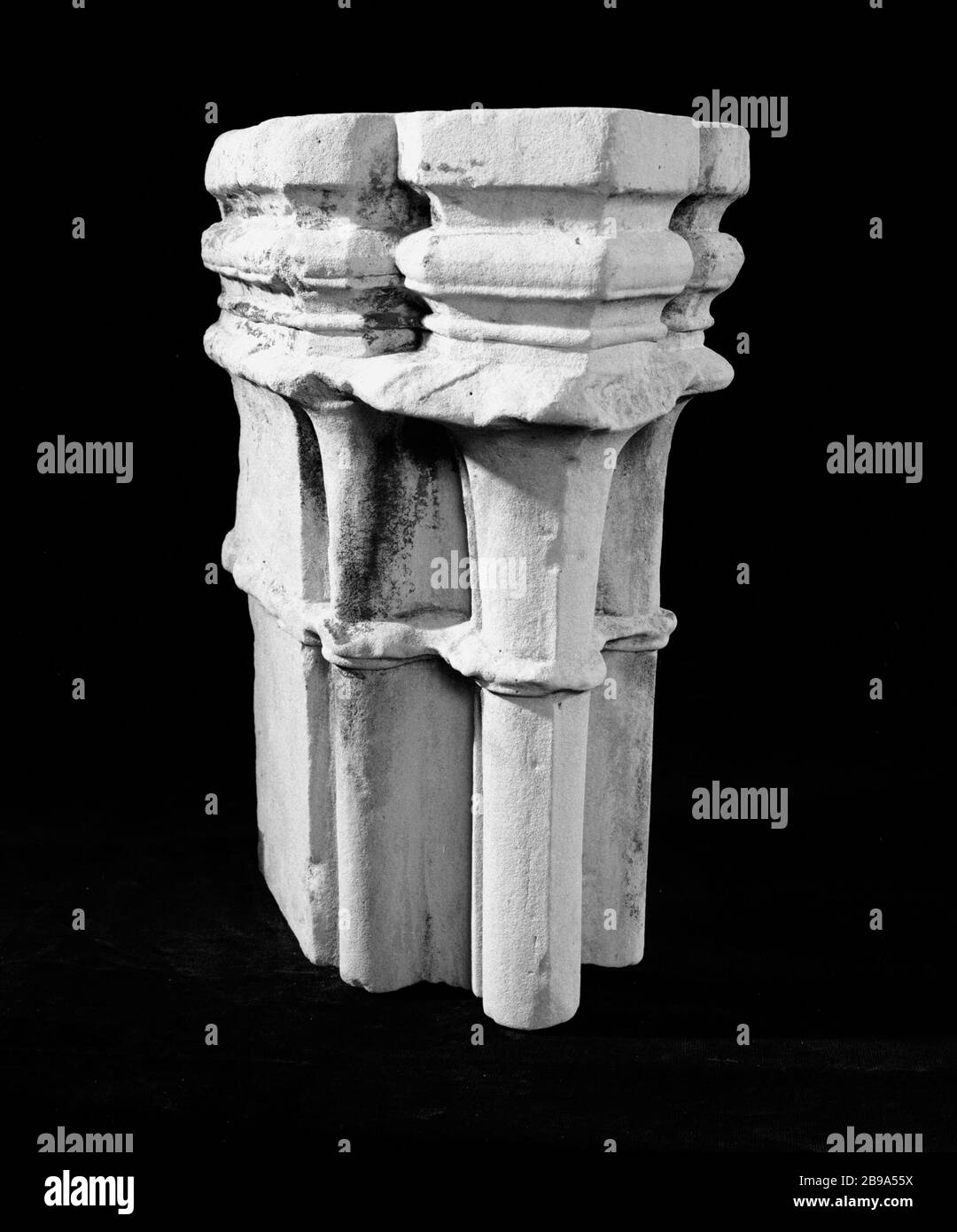 Cat 240 hi-res stock photography and images - Alamy