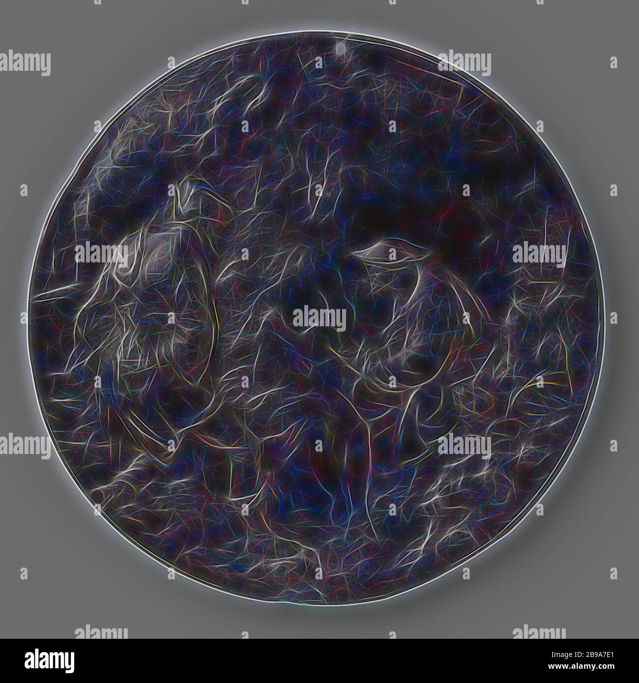 Left van praag hi-res stock photography and images - Alamy