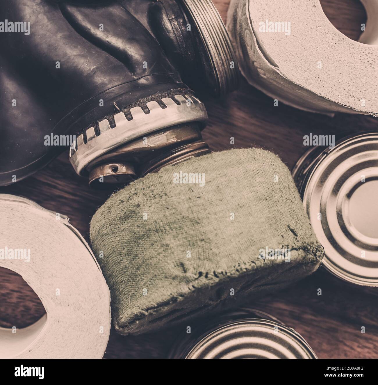 Toilet paper rolls, protective gas mask and 2 cans of canned food ...