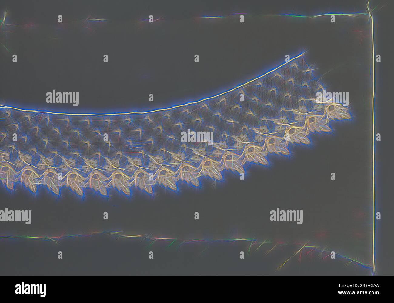 Strip of bobbin lace with half-moon scatter pattern, Strip of natural ...