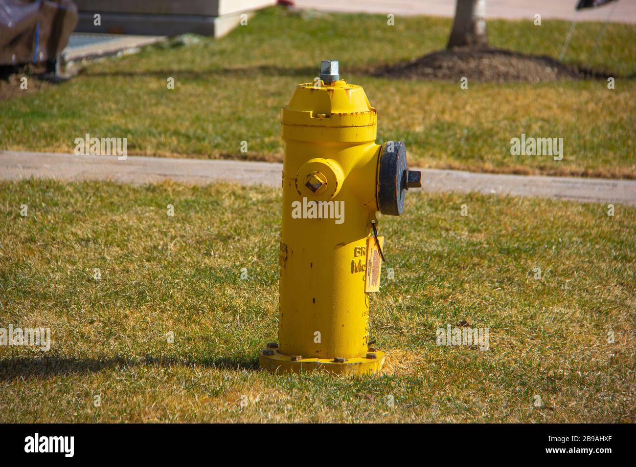Yellow fire hydrant shadow hi-res stock photography and images - Alamy