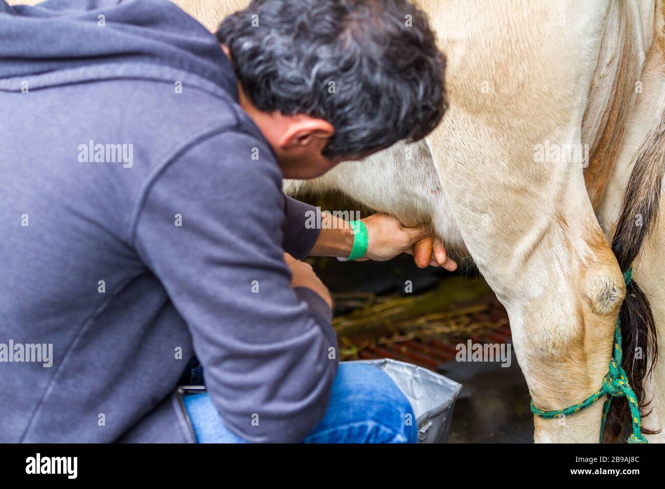 Hand miking hi-res stock photography and images - Alamy