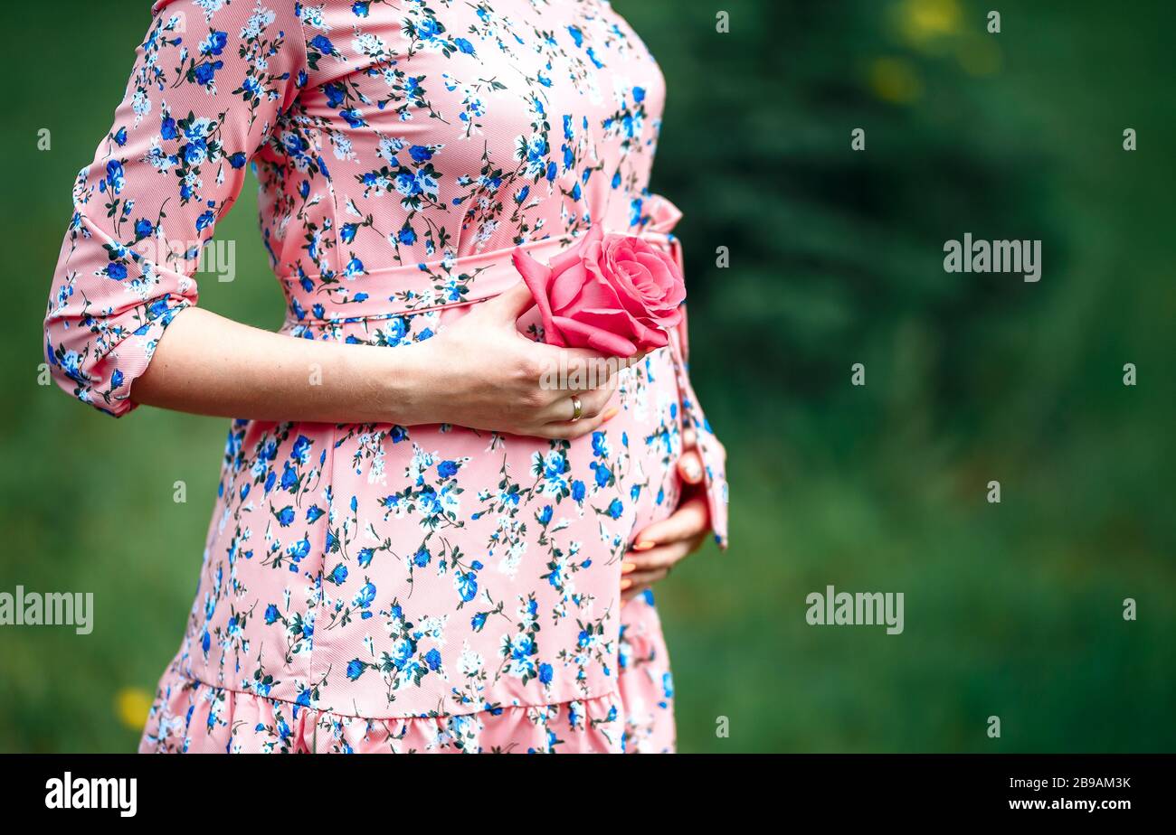 Pregnant woman touching bump whilst holding pink rose girl waiting ...