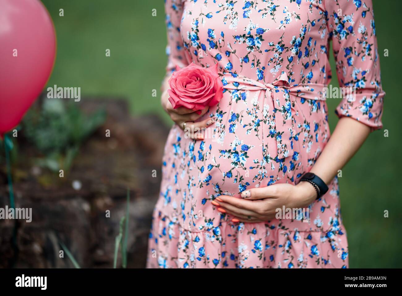 Pregnant woman touching bump whilst holding pink rose girl waiting ...