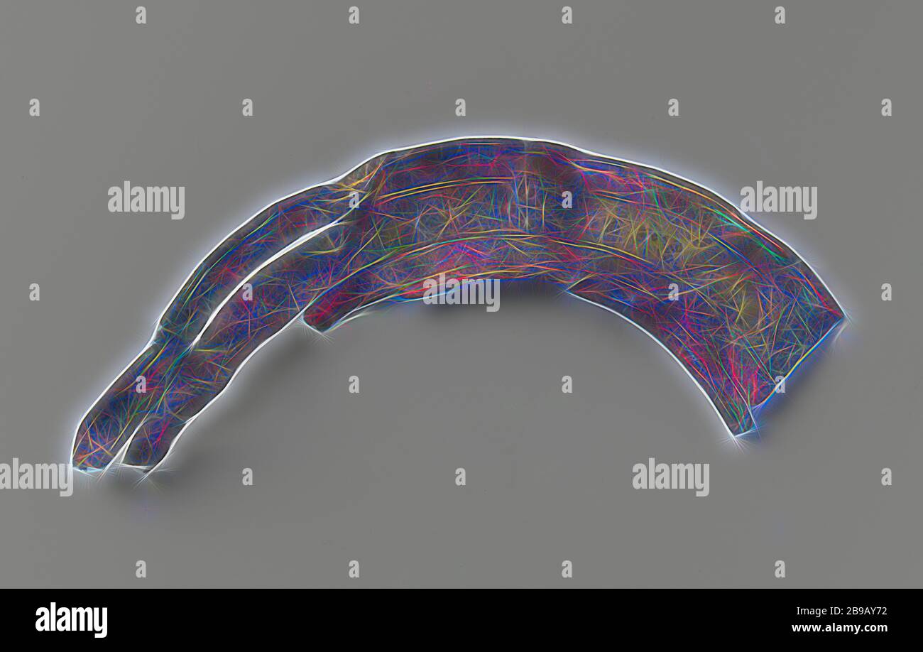 Broken trumpet hi-res stock photography and images - Alamy