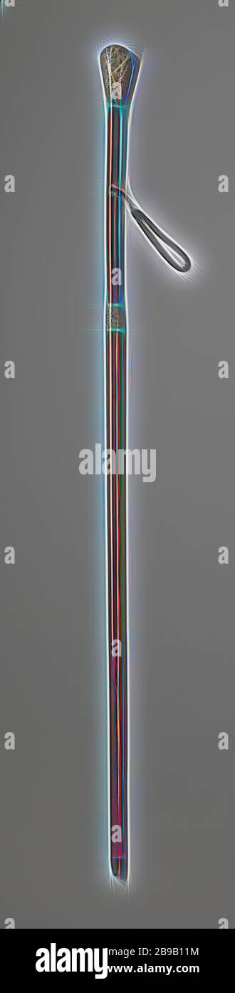 Walking Stick Handle High Resolution Stock Photography and Images - Alamy