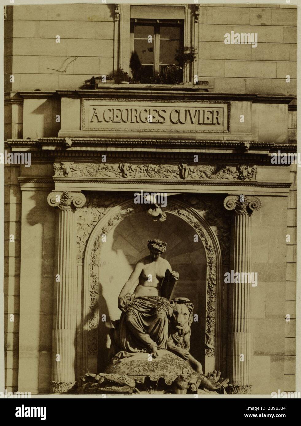Cuvier fontaine hi-res stock photography and images - Alamy