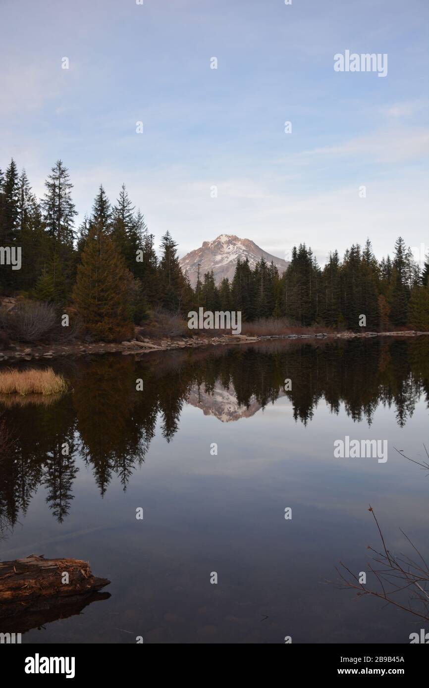 Mt Hood reflected in Mirror Lake on a fall afternoon, Mt Hood National ... Mt Hood reflected in Mirror Lake on a fall afternoon, Mt Hood National ...