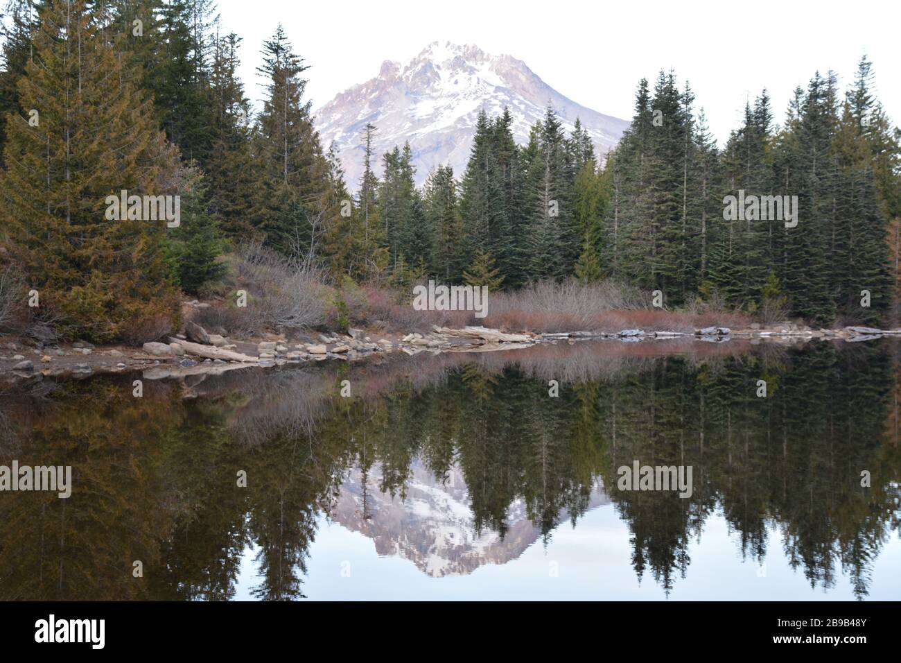 Mt Hood reflected in Mirror Lake on a fall afternoon, Mt Hood National ... Mt Hood reflected in Mirror Lake on a fall afternoon, Mt Hood National ...