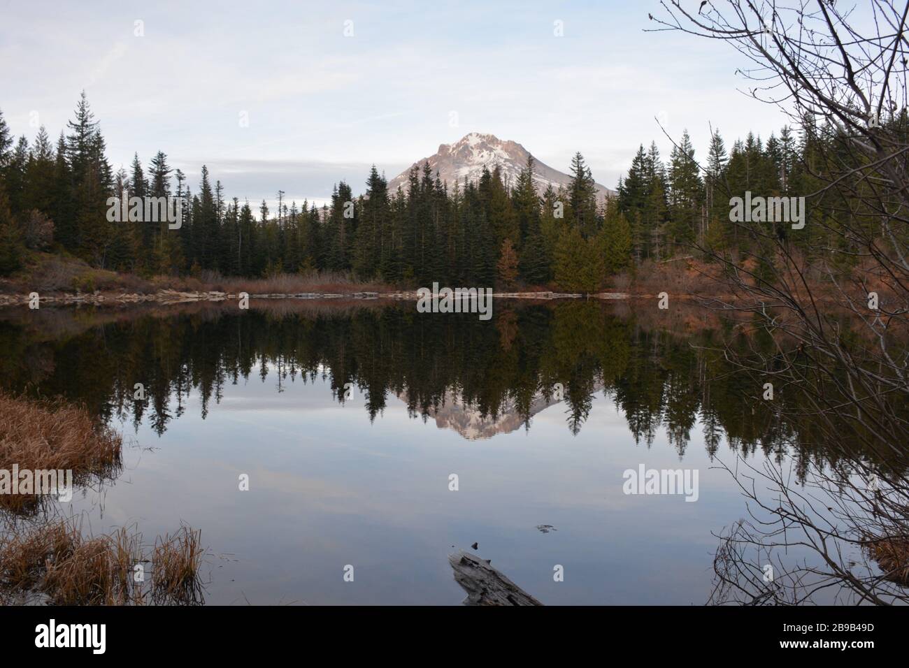 Mt Hood reflected in Mirror Lake on a fall afternoon, Mt Hood National ... Mt Hood reflected in Mirror Lake on a fall afternoon, Mt Hood National ...
