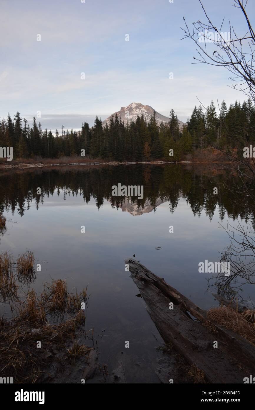 Mt Hood reflected in Mirror Lake on a fall afternoon, Mt Hood National ...