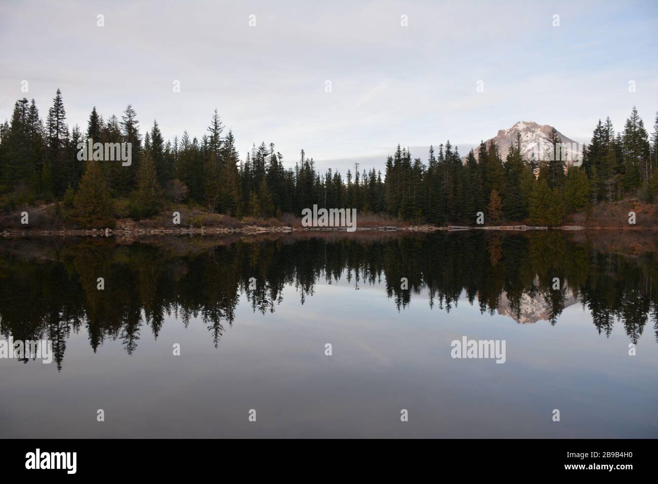 Mt Hood reflected in Mirror Lake on a fall afternoon, Mt Hood National ... Mt Hood reflected in Mirror Lake on a fall afternoon, Mt Hood National ...