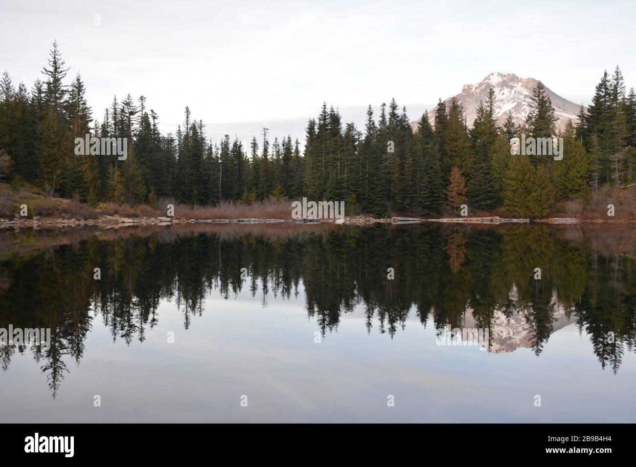 Mt Hood reflected in Mirror Lake on a fall afternoon, Mt Hood National ... Mt Hood reflected in Mirror Lake on a fall afternoon, Mt Hood National ...