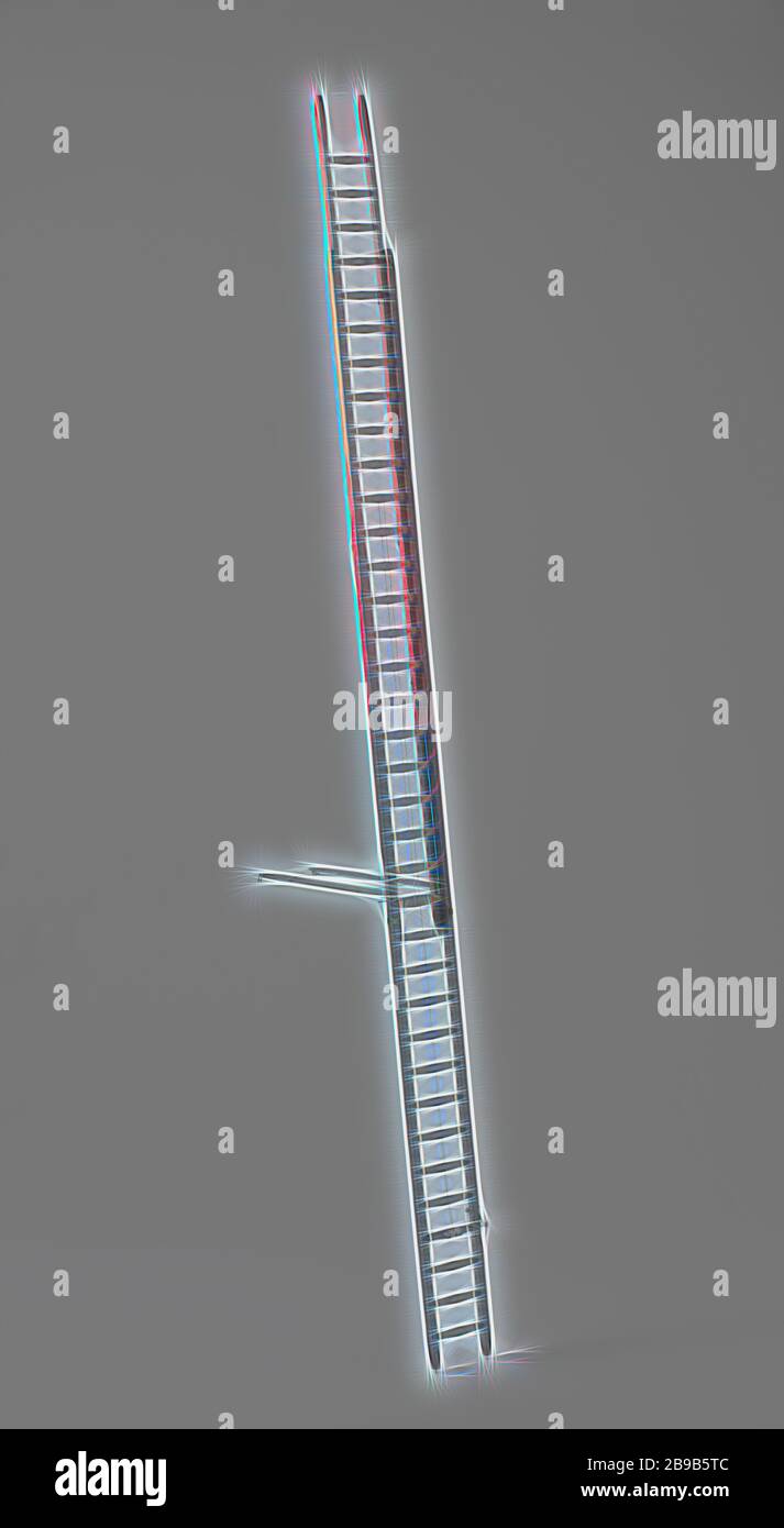 Model of a Ladder, Model of two-part ladder. The extendable section has ...