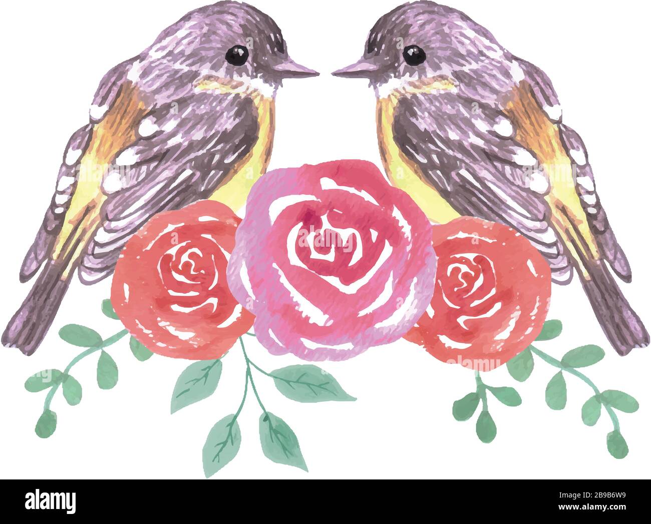 An eastern yellow robin Stock Vector Images - Alamy