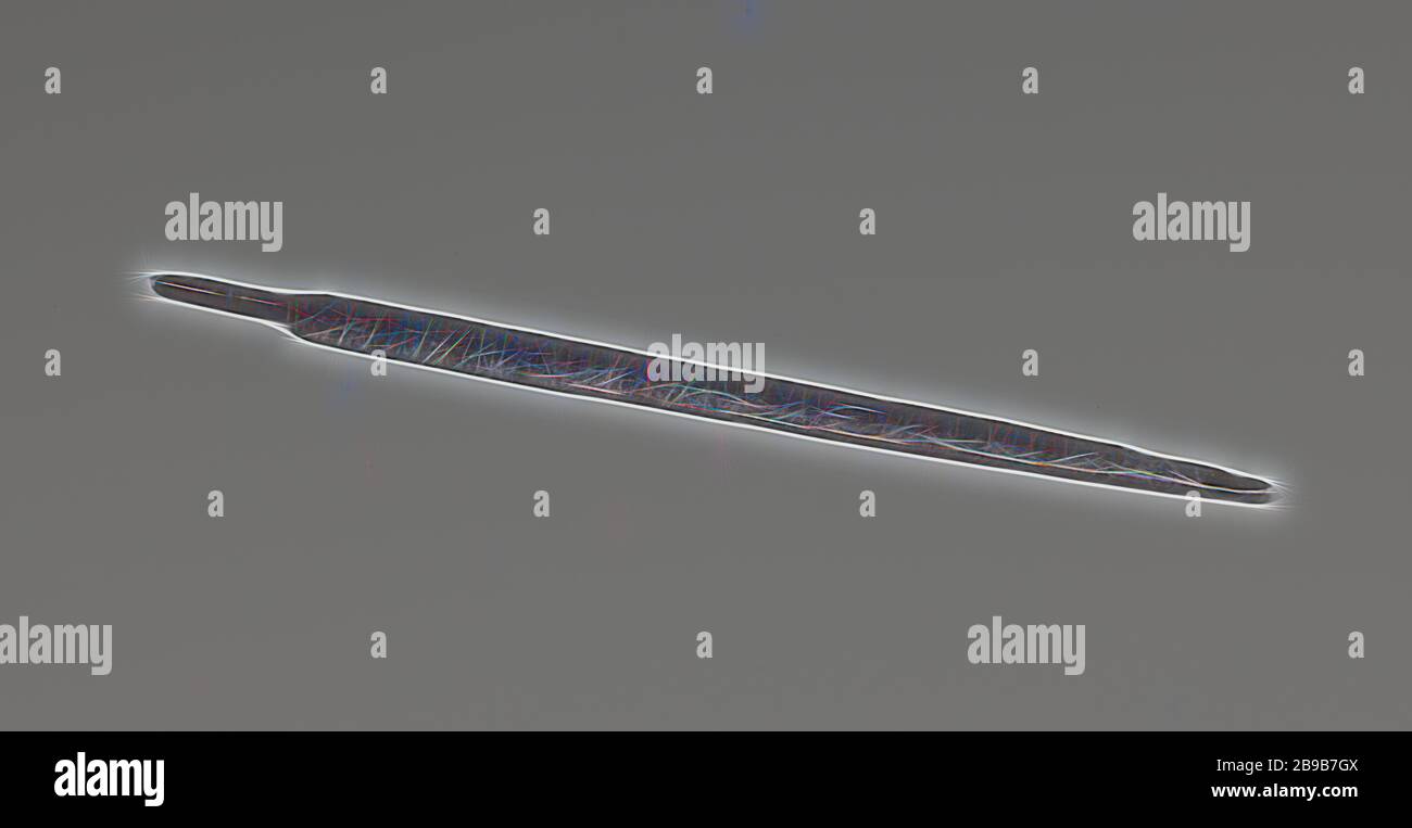 Half round rasp hi-res stock photography and images - Alamy