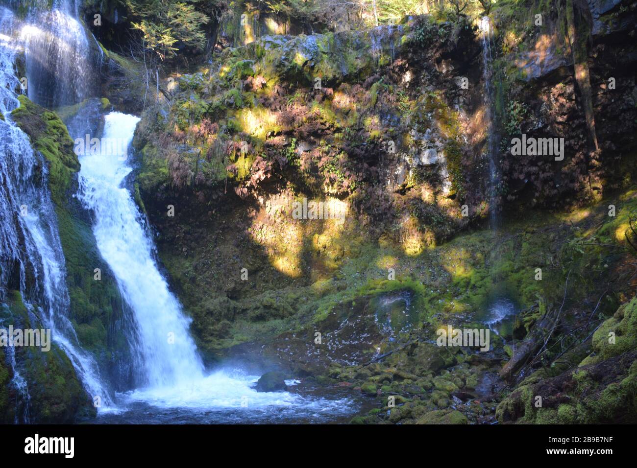 Panther Creek Falls, located near Carson off the Wind River Road near ...