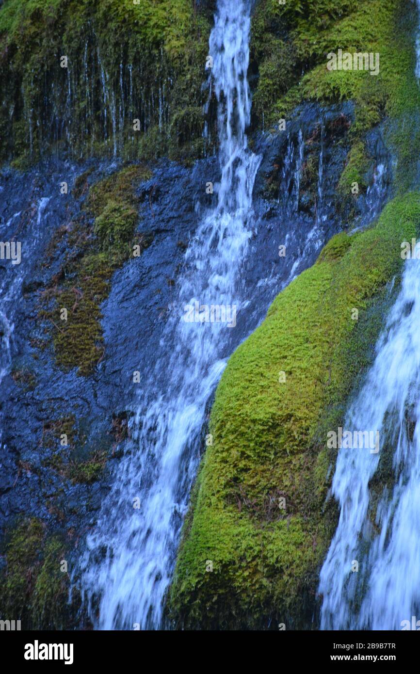 Panther Creek Falls, located near Carson off the Wind River Road near ...
