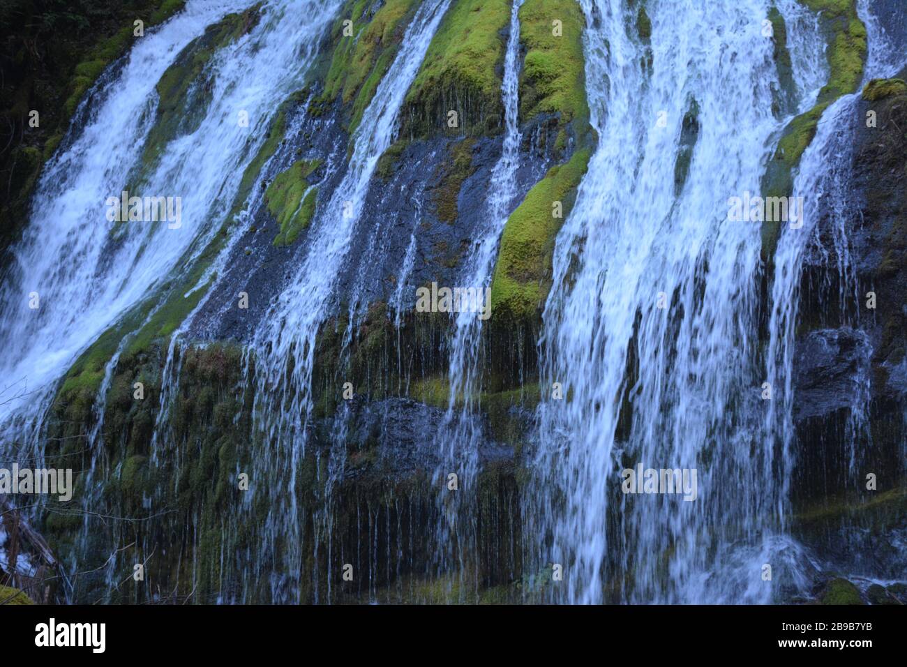 Panther Creek Falls, located near Carson off the Wind River Road near ...