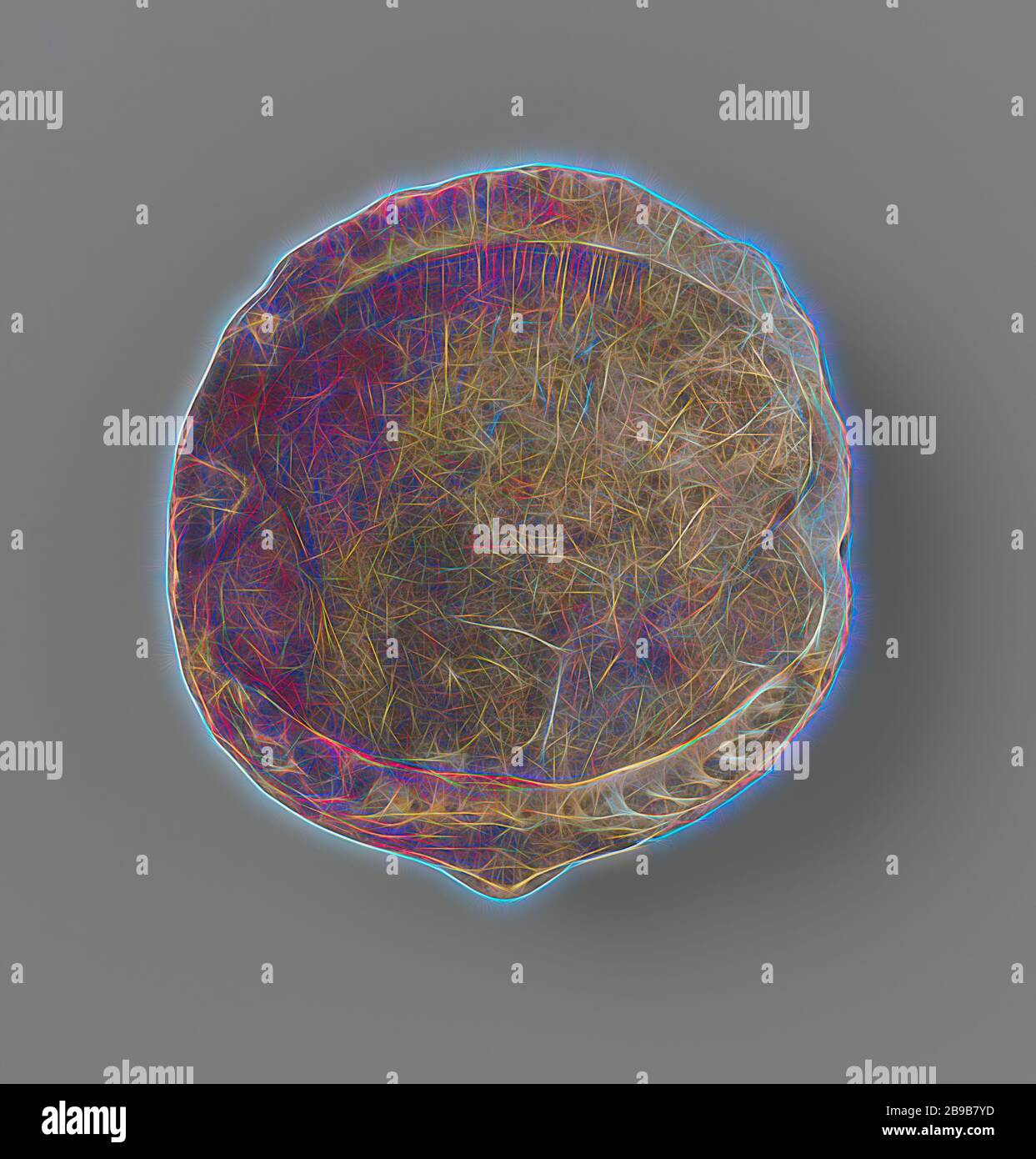 Heemskerck willem van hi-res stock photography and images - Alamy