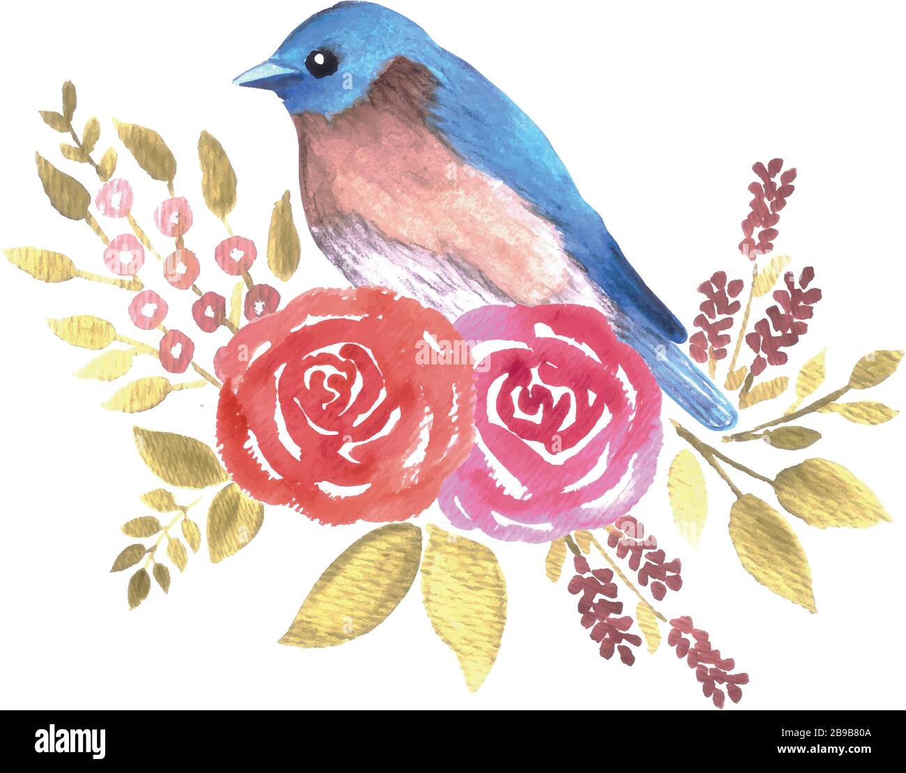 Eastern Bluebird On Flower Stock Vector Images - Alamy
