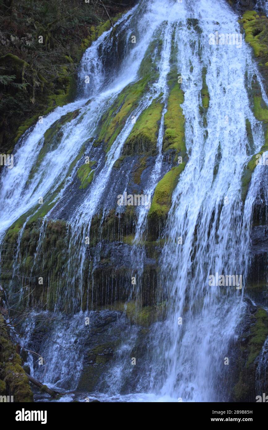 Panther Creek Falls, located near Carson off the Wind River Road near ...