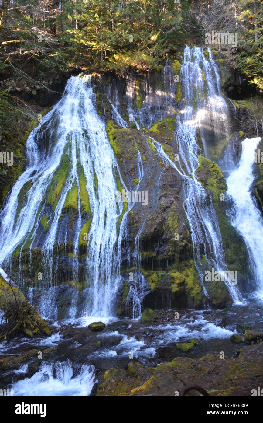 Panther Creek Falls, located near Carson off the Wind River Road near ...