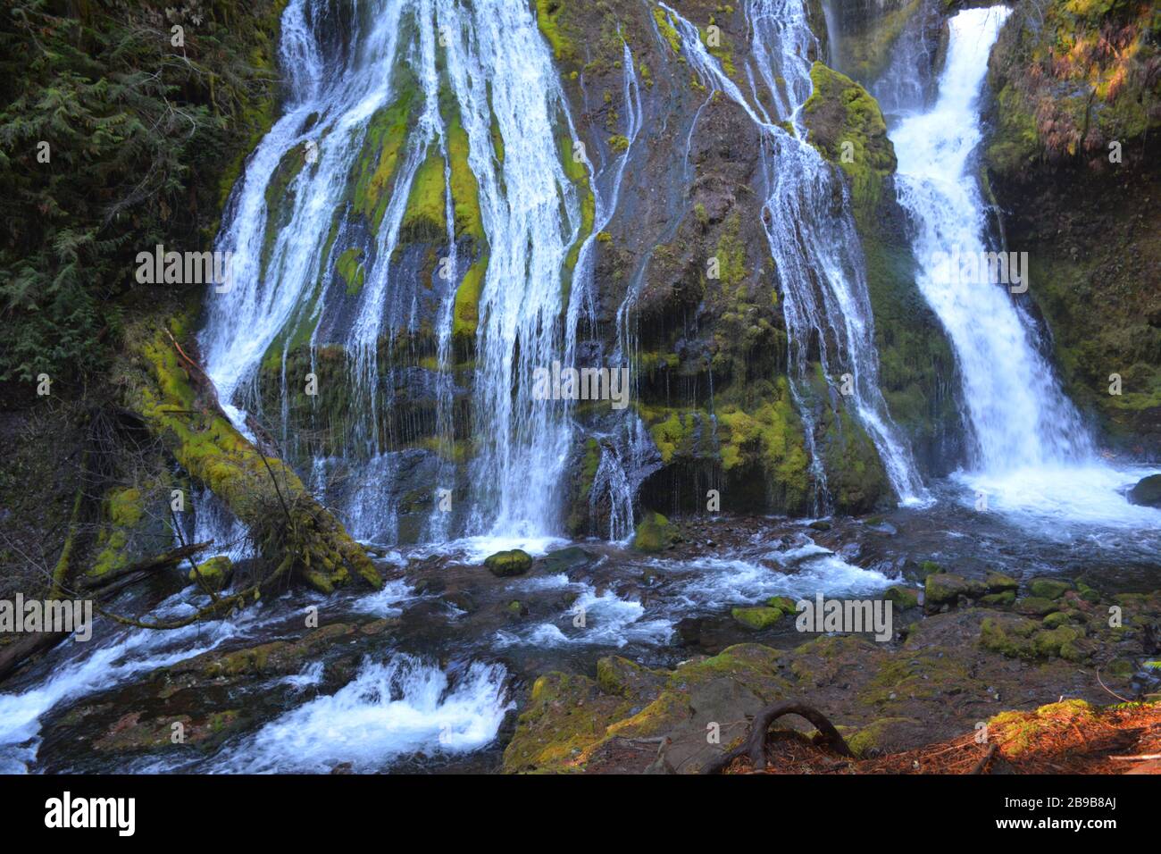 Panther Creek Falls, located near Carson off the Wind River Road near ...