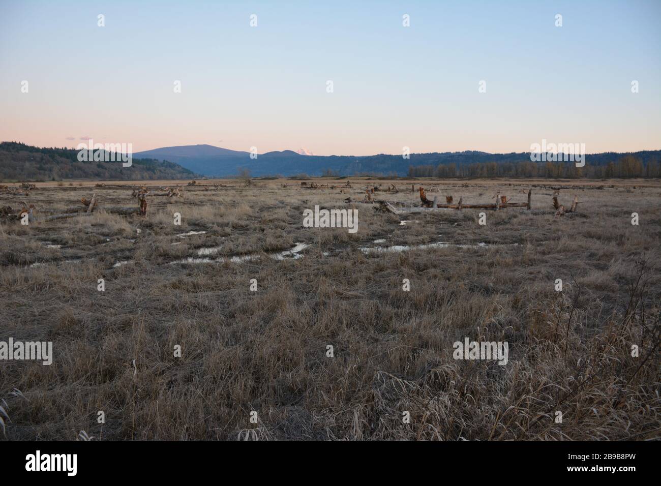 An open vista at Steigerwald Lake National Wildlife Refuge near ...