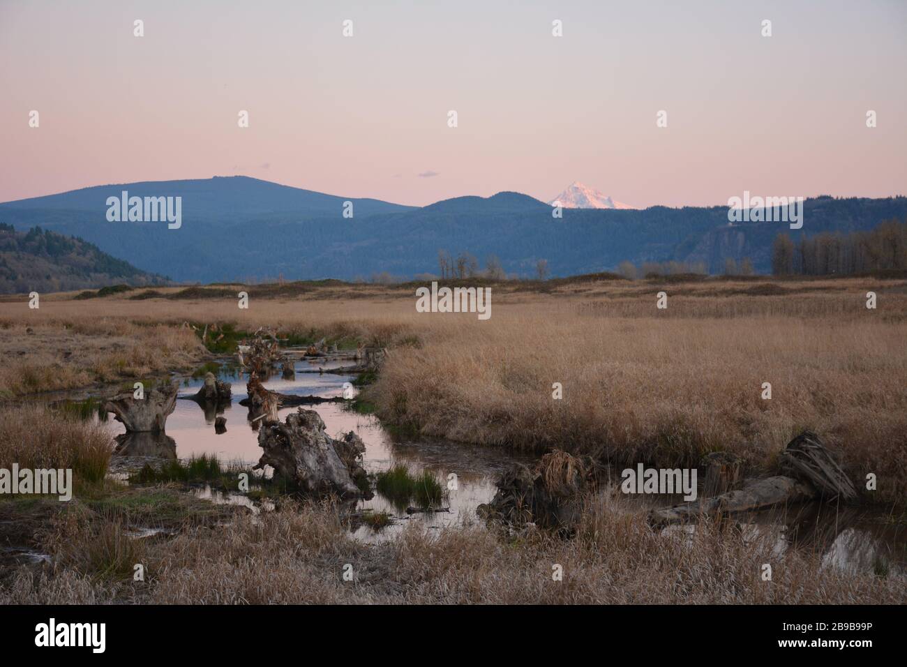 An open vista at Steigerwald Lake National Wildlife Refuge near ...