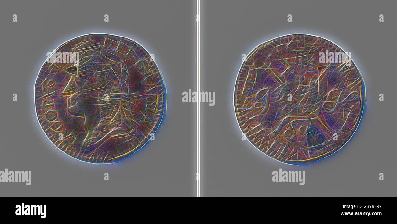 Shilling, James II, King of England, emergency coin from September 1689 ...