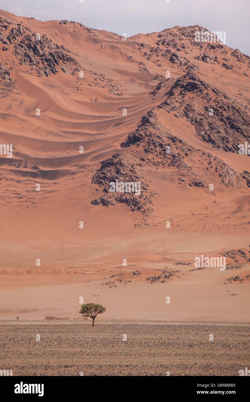 Namibian Desert Sand Dunes Stock Photo - Alamy
