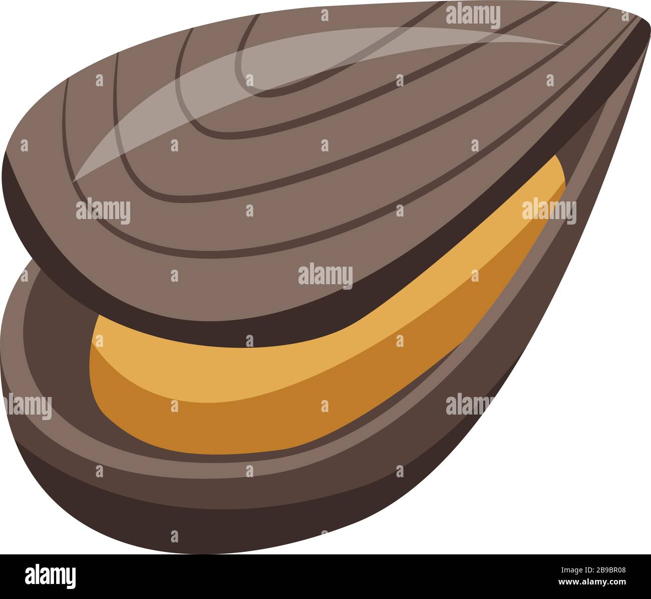 Empty mussels Stock Vector Images - Alamy